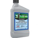 How to Control Crapemyrtle Bark Scale! - Good Earth Garden Center
