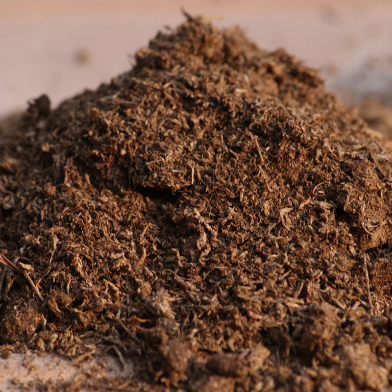 Sphagnum Peat Moss - The Good Earth Garden Center
