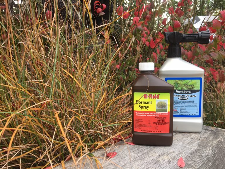 How to Effectively Use Dormant Oil - Good Earth Garden Center