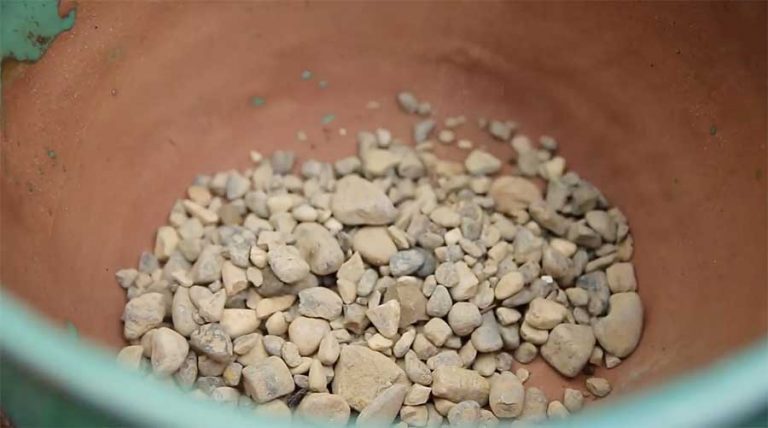 How to Create Perfect Combination Pots - Good Earth Garden Center