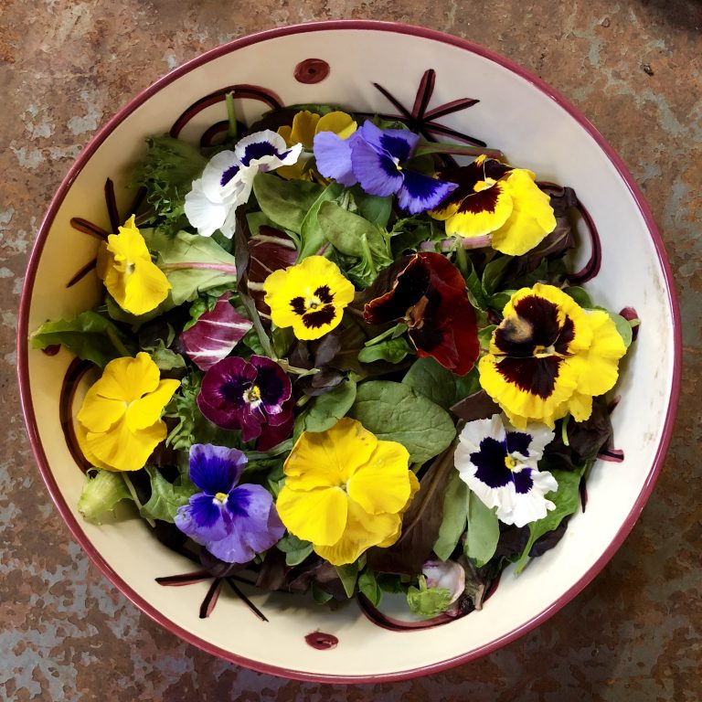 Pansy Palooza! Pansy Recipes from The Good Earth Team! - Good Earth ...