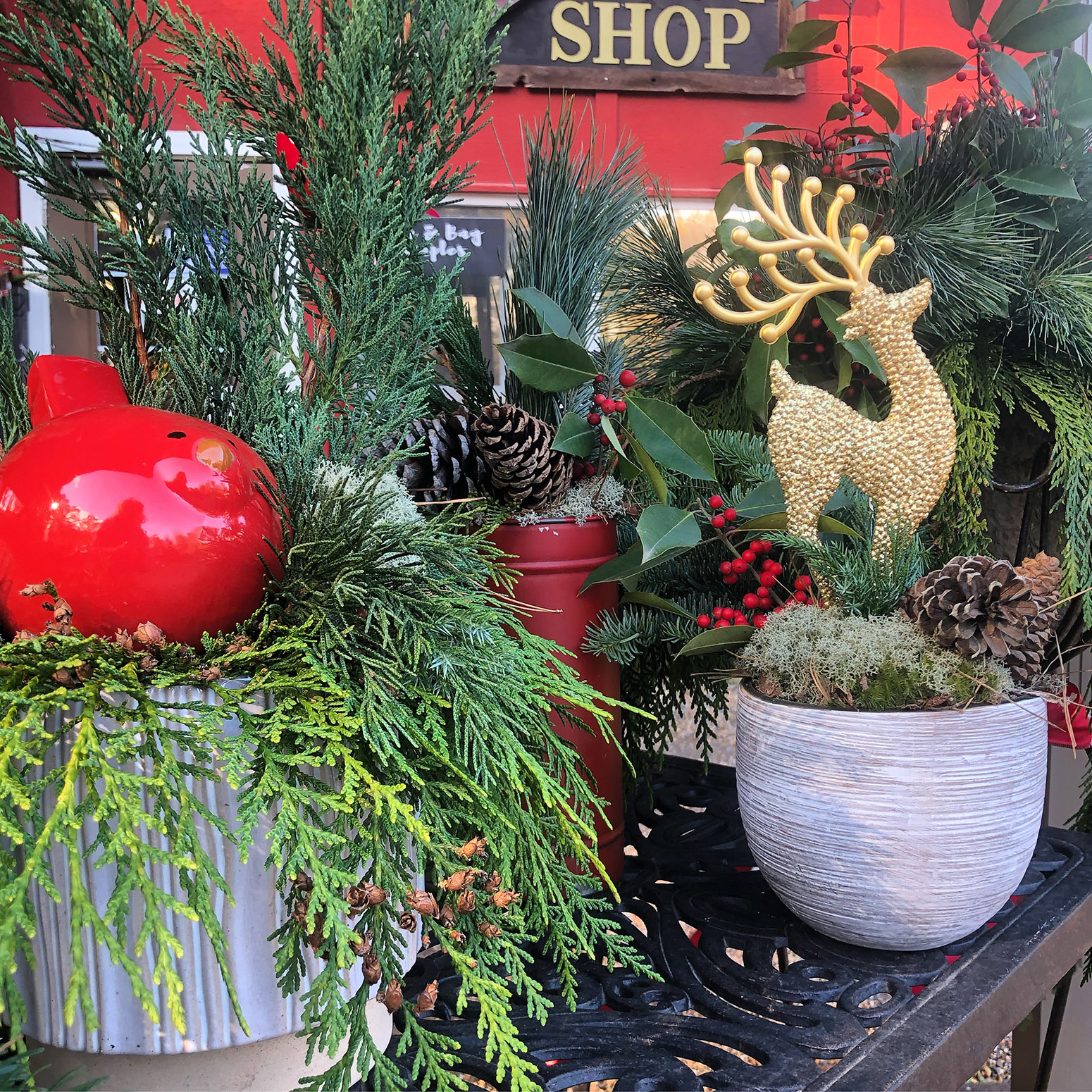 Decking the Halls with Holiday Boughs! - The Good Earth Garden Center