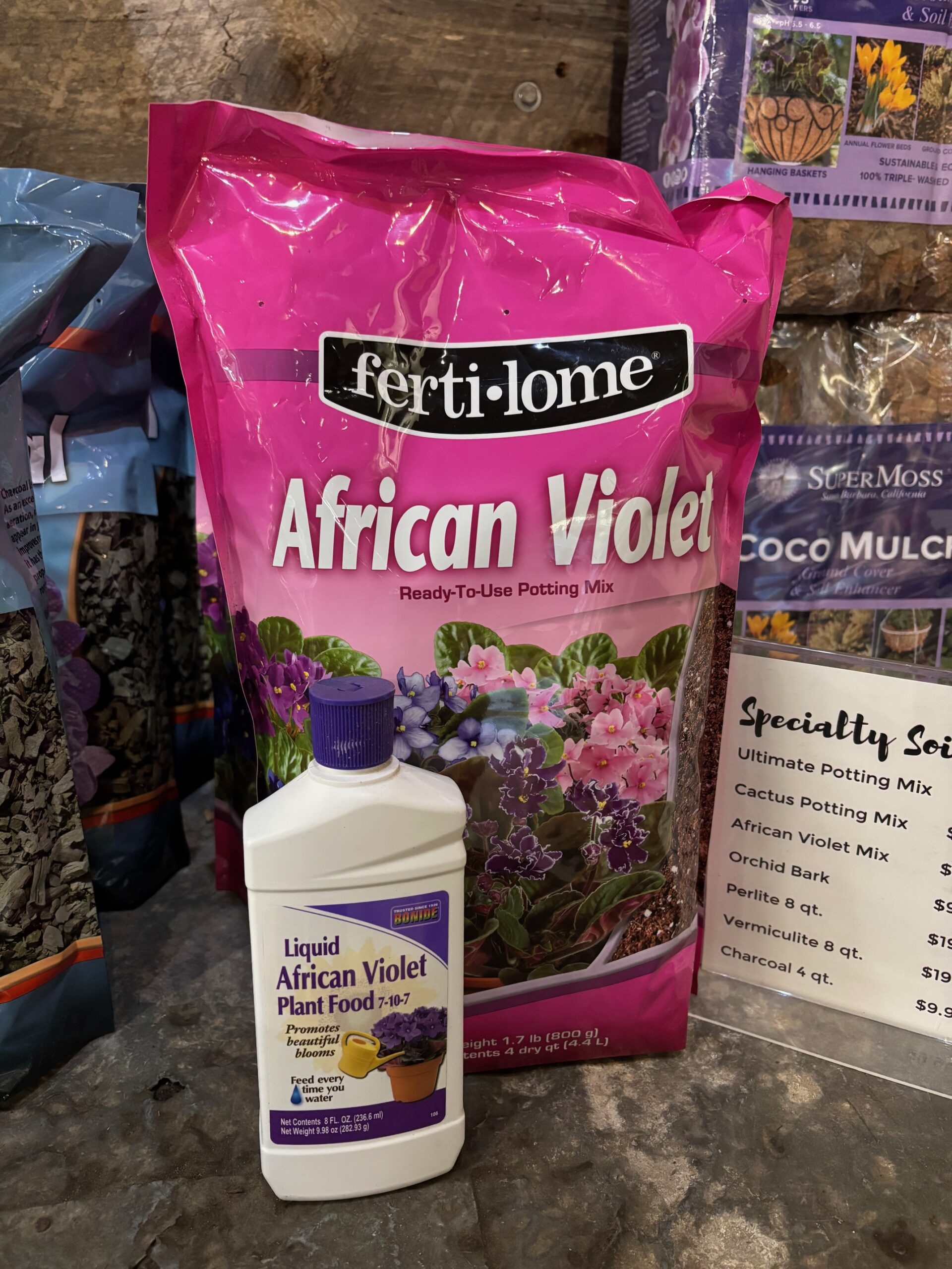 General Care Tips for African Violets